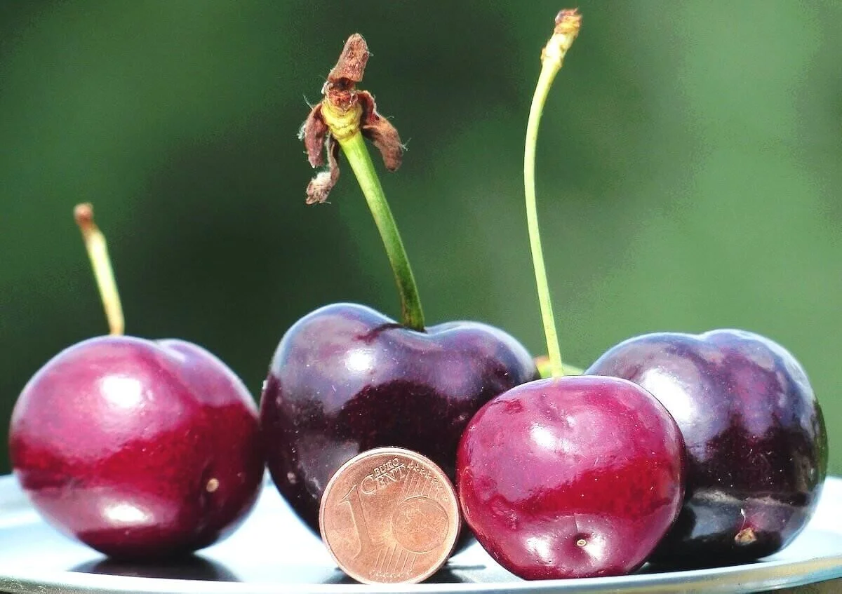 Pennies From Heaven - Is Spirit Visiting You With Coins? — Amanda ...