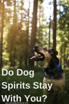 Do Dog Spirits Stay With You?