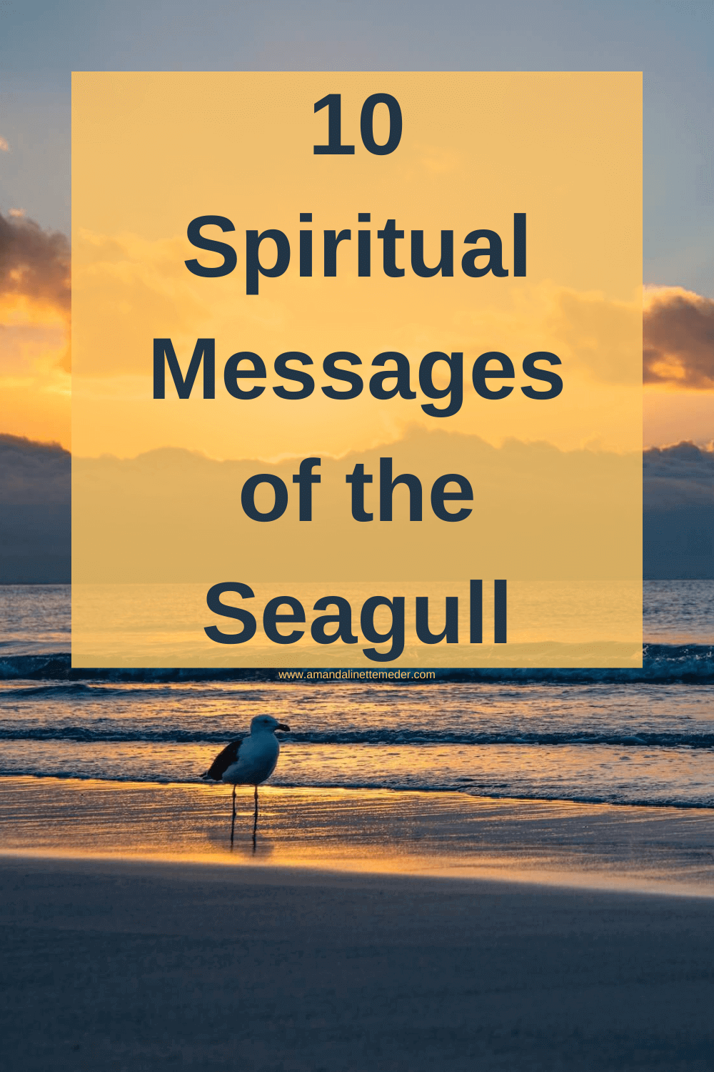 Seagull Symbolism: 10 Spiritual Messages Of The Seagull