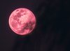 The Spiritual Meaning of the April Pink Moon — Amanda Linette Meder