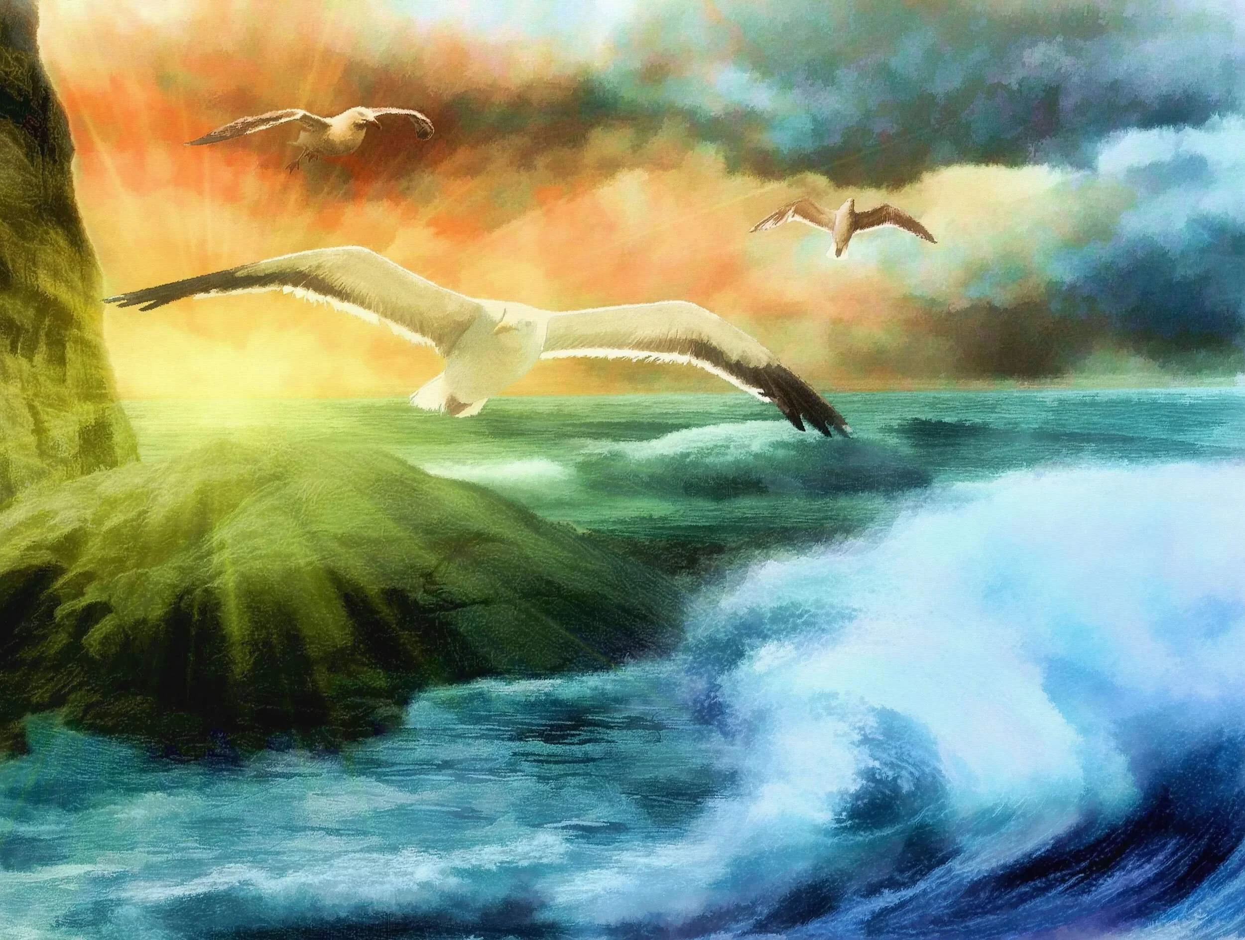 Seagull Symbolism: 10 Spiritual Messages Of The Seagull