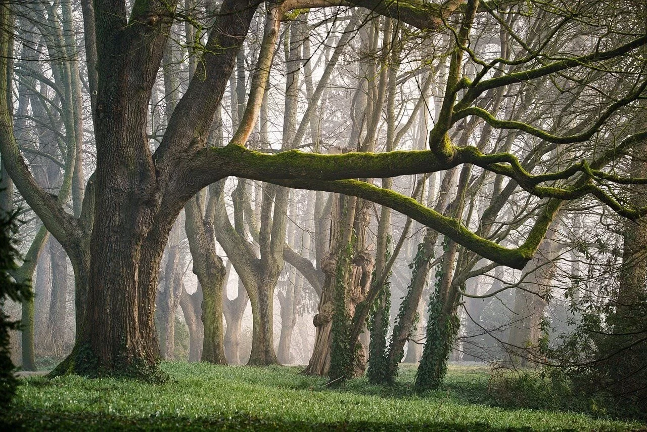What Do Spirits Feel Like? A Guide On How To Sense Spirits