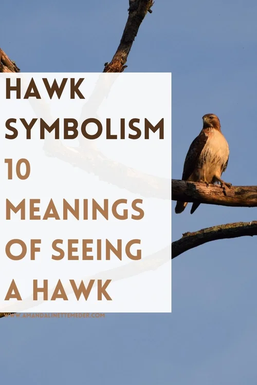 Hawk Symbolism
