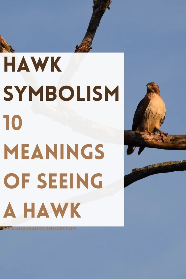 Hawk Symbolism