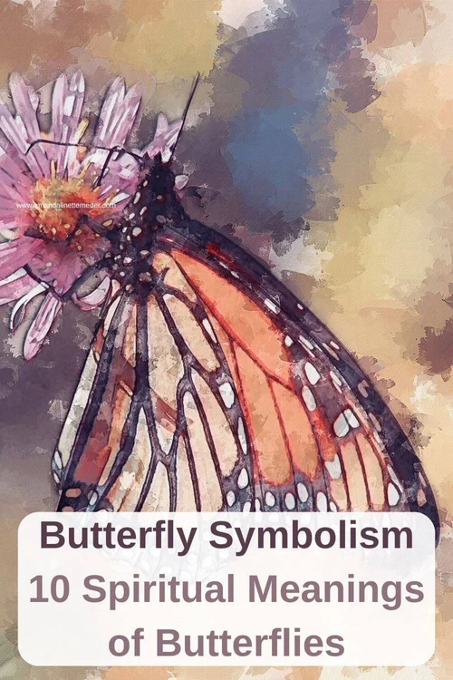 Butterfly Symbolism: 10 Spiritual Meanings of Butterflies