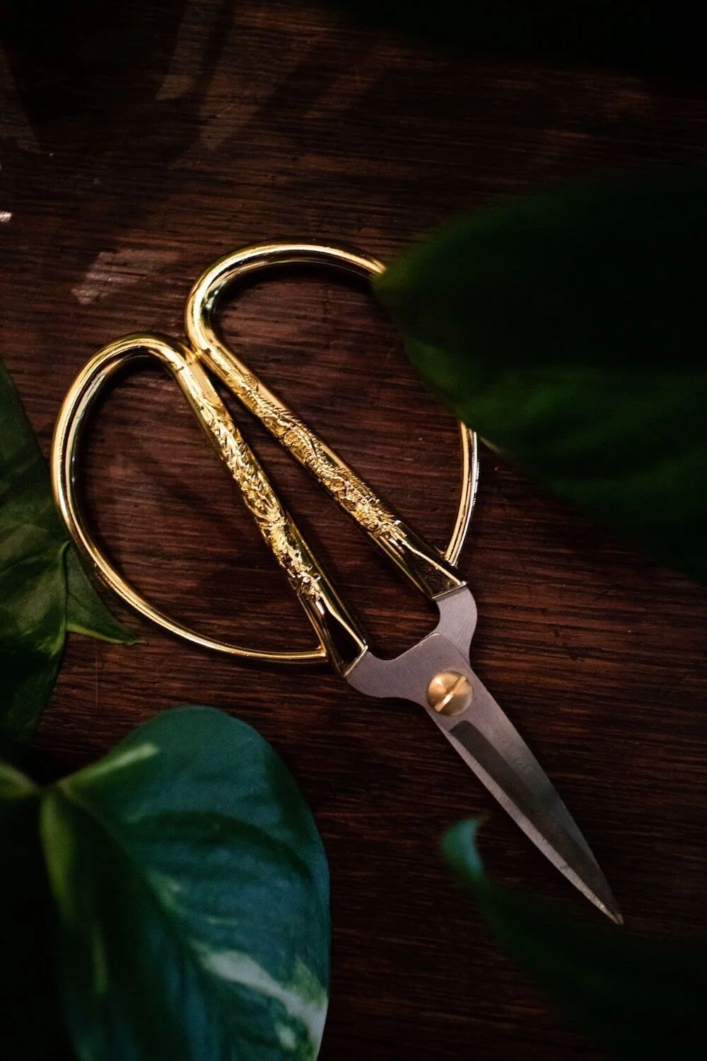 How To Energetically Cut Cords — Amanda Linette Meder