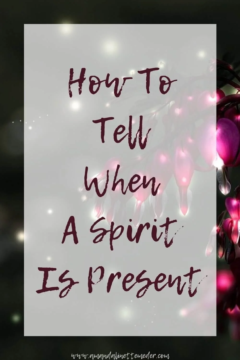 How Do You Know When A Spirit Is Present? — Amanda Linette Meder