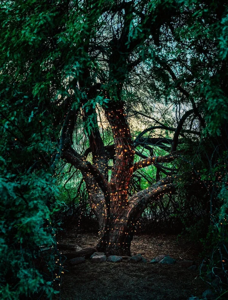 Nature Spirits - How To Connect With Fairies And Gnomes — Amanda ...