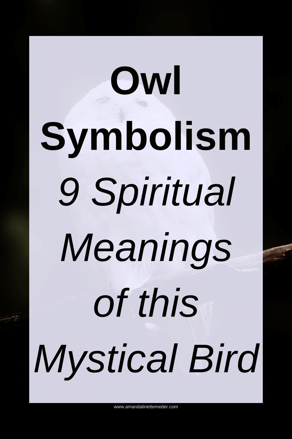 Owl Symbolism: 9 Spiritual Meanings of this Mystical Bird — Amanda ...