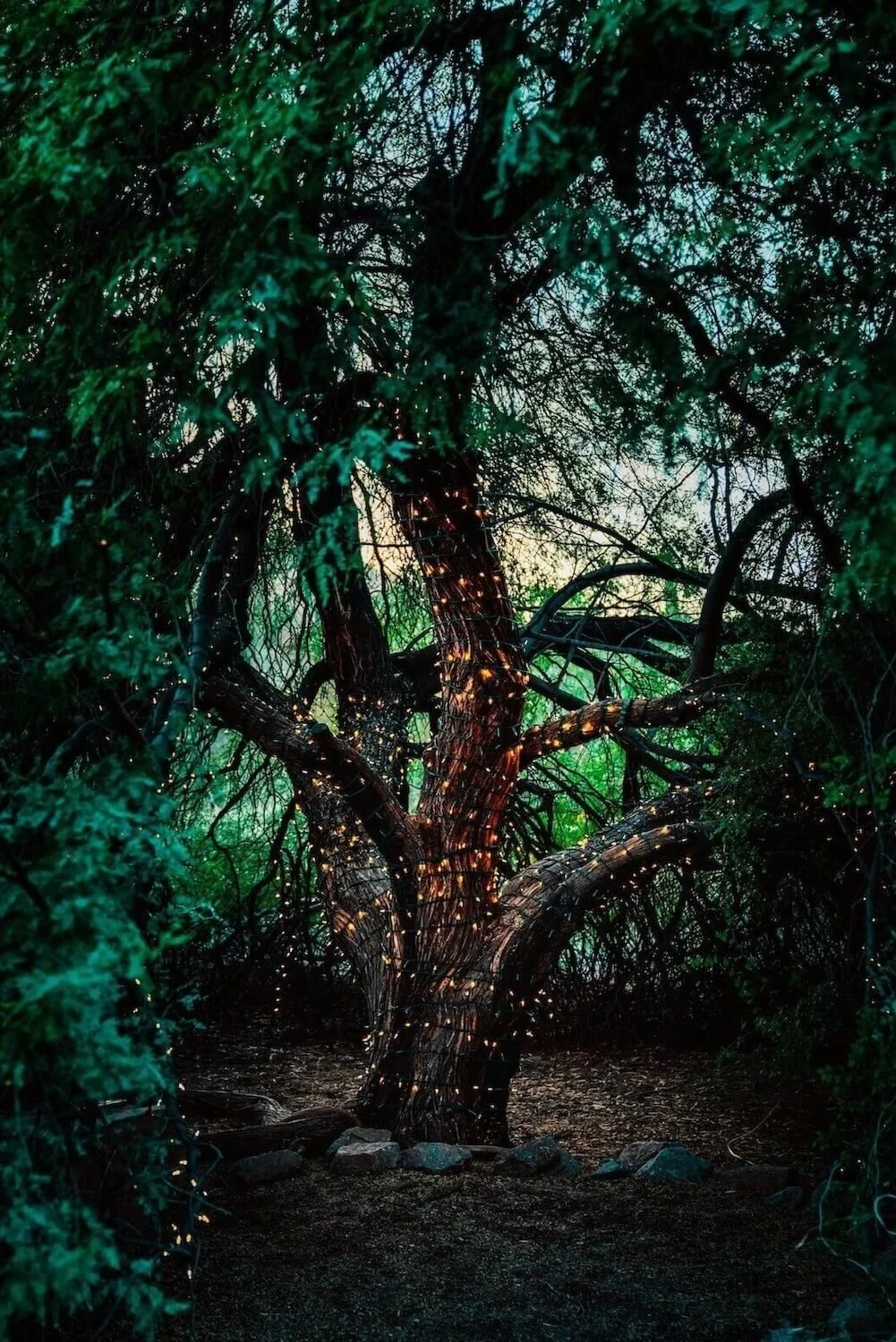 Nature Spirits - How To Connect With Fairies And Gnomes