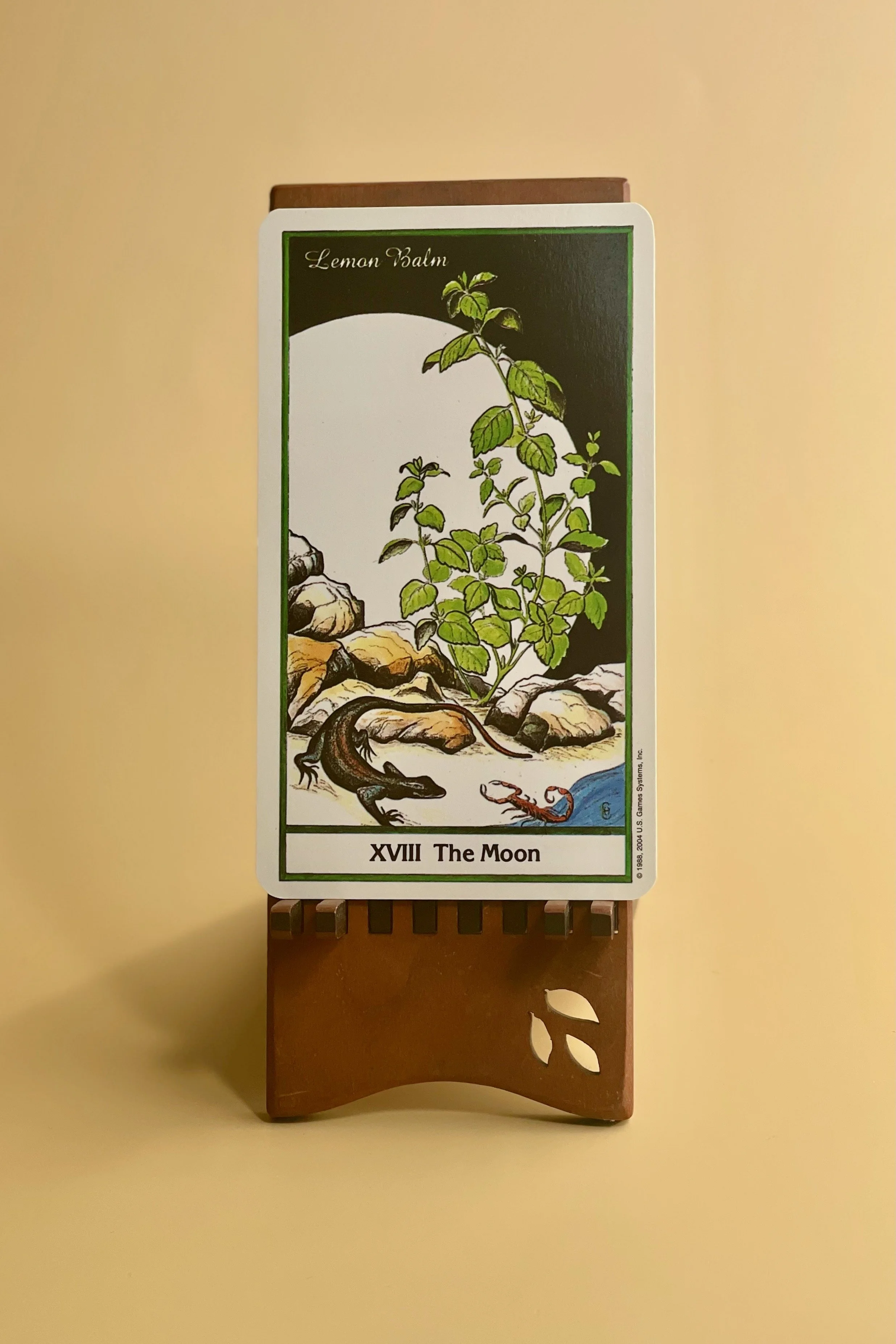 The Moon Tarot Card Meaning — Amanda Linette Meder