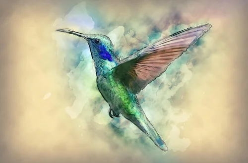 Hummingbird Symbolism: 8 Spiritual Meanings of Hummingbirds