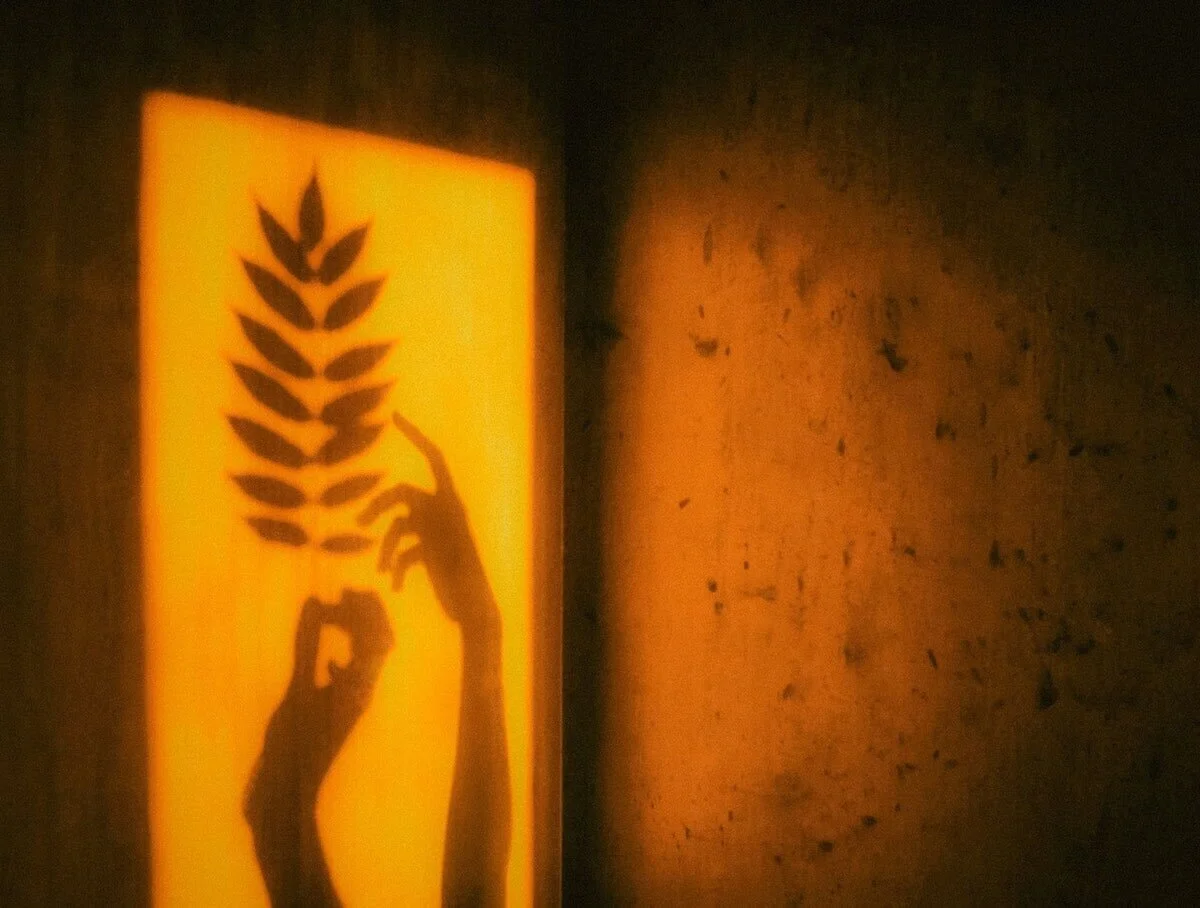 What Is Shadow Work In Spirituality? — Amanda Linette Meder
