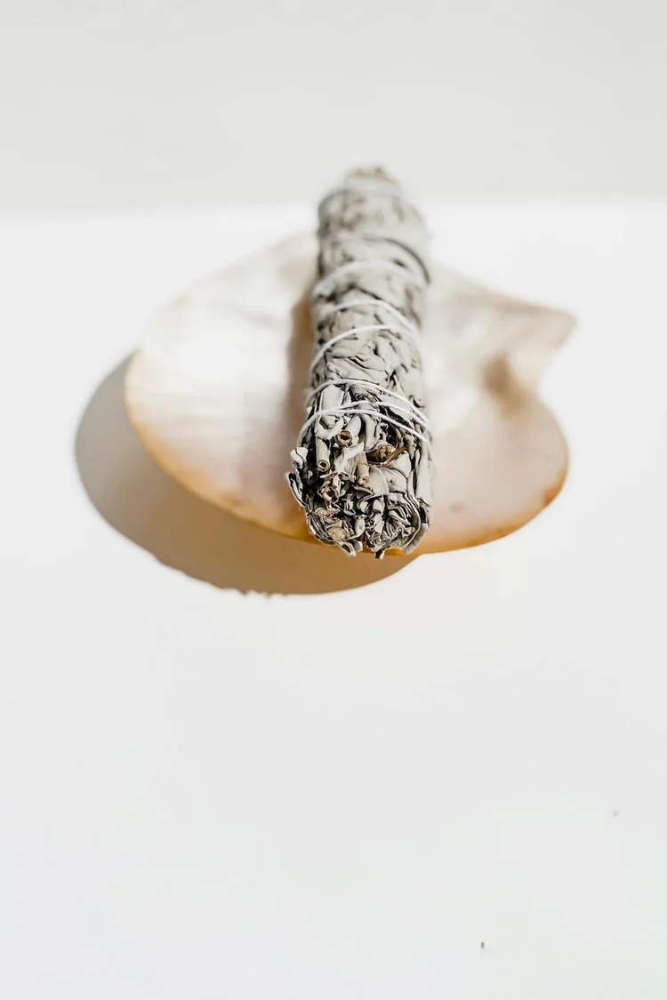 Benefits And Uses Of White Sage — Amanda Linette Meder