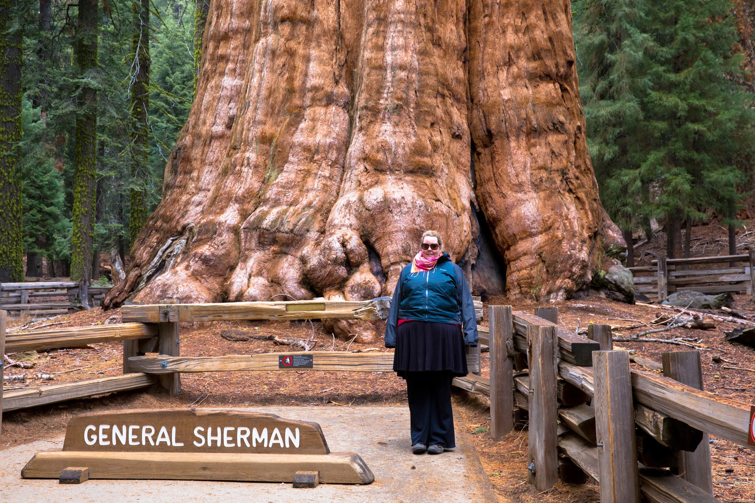 General Sherman Tree Scale