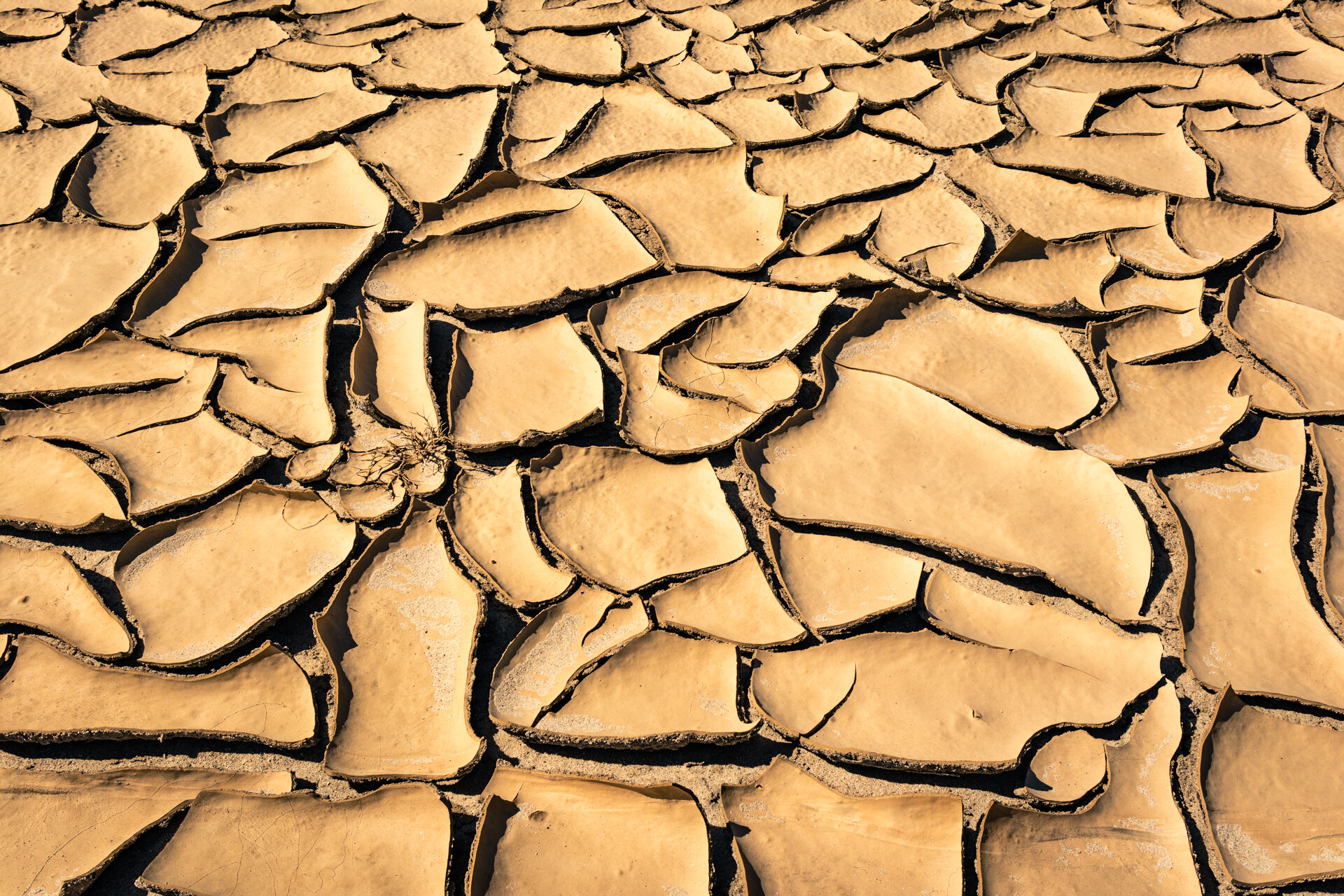 Jon Norris | Dried Mud Tiles