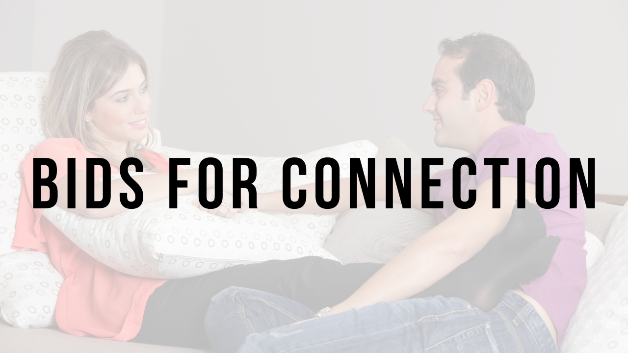 BIDS FOR CONNECTION