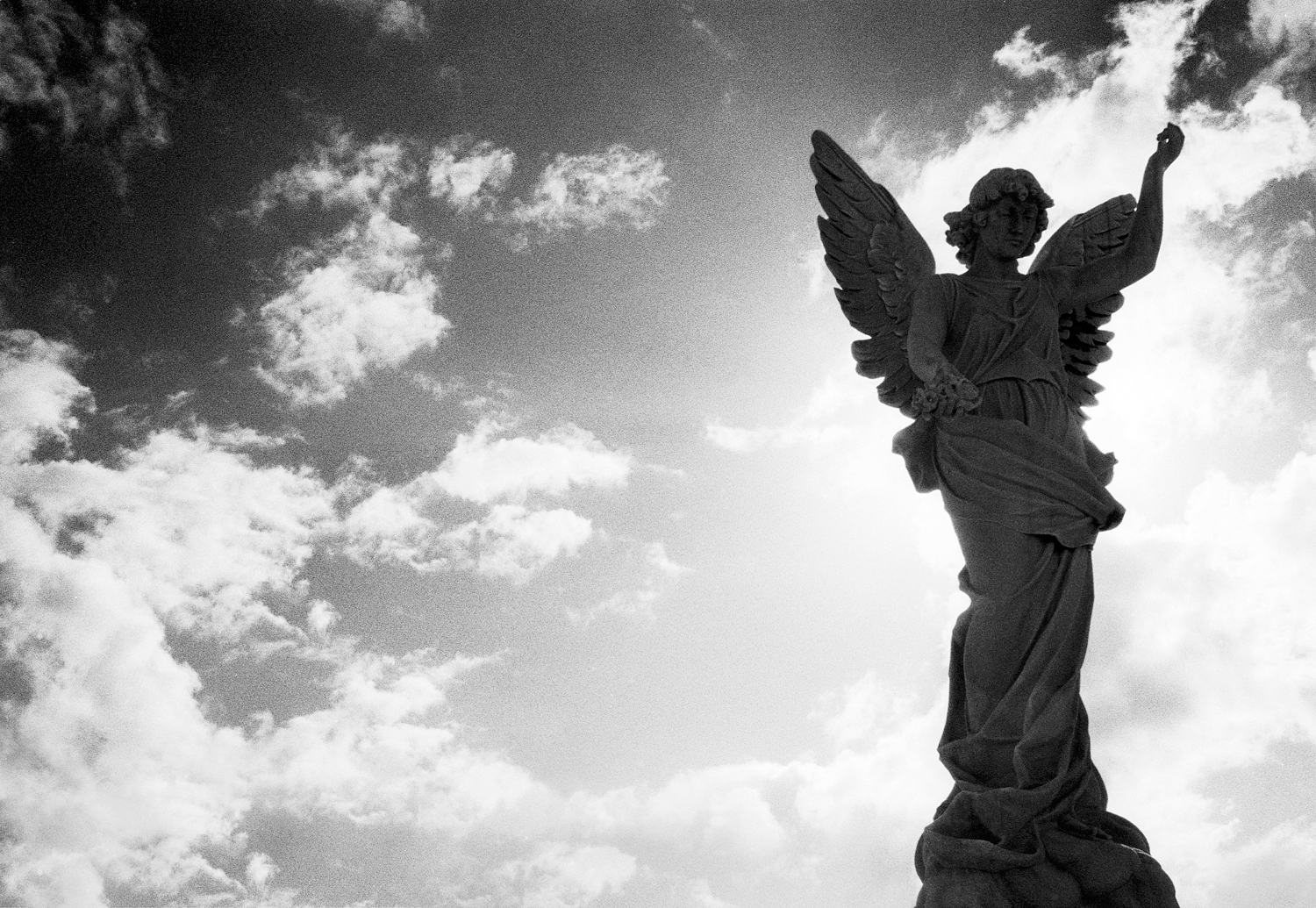 photos — John Zissimos