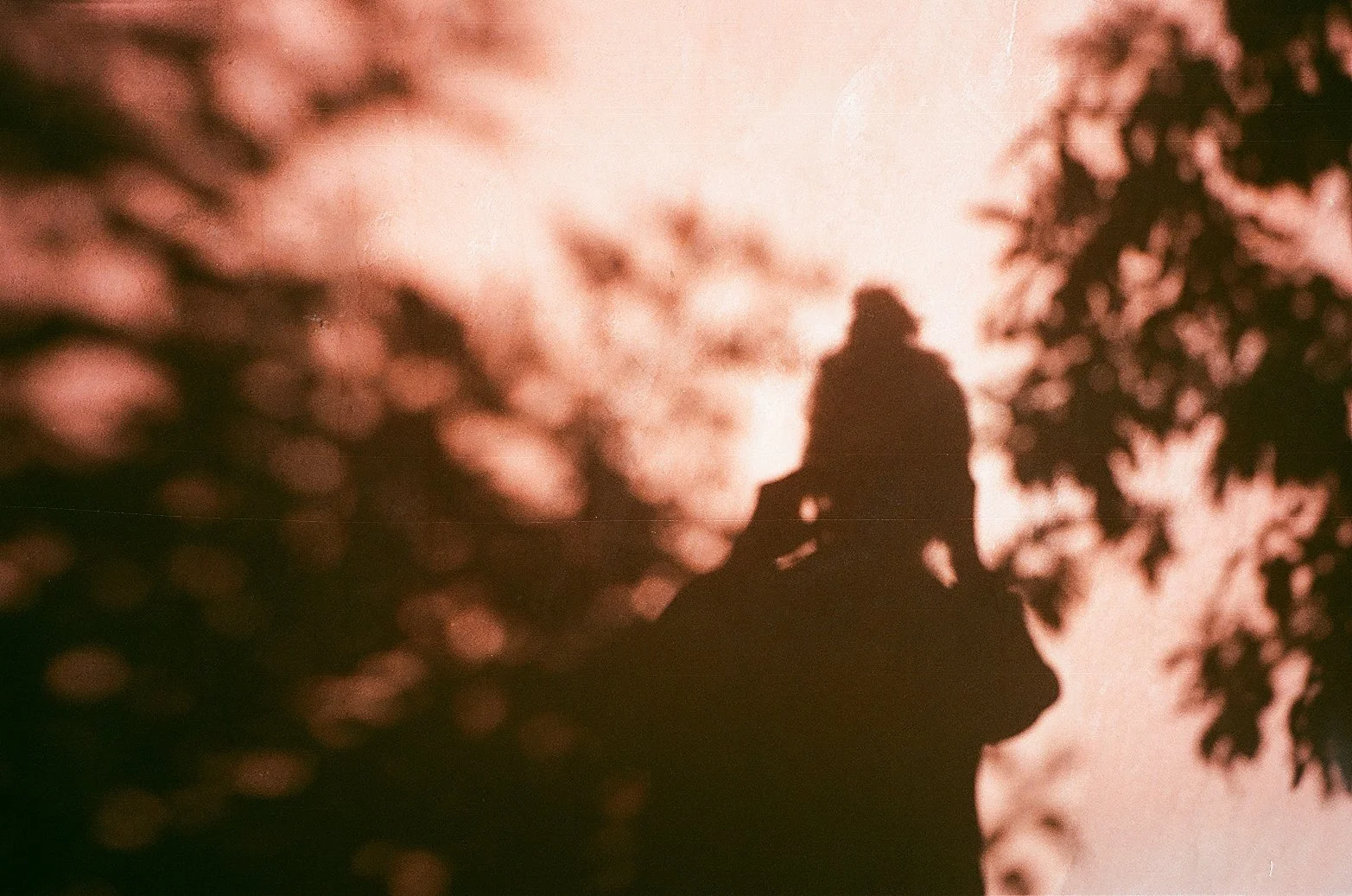 About Anna Zajac - Arizona Wedding Photgrapher — Anna Zajac - Arizona ...