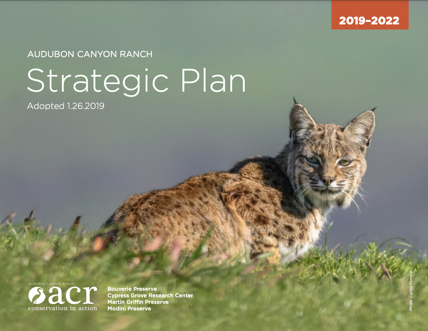 Case Studies | Lyons-Newman Consulting