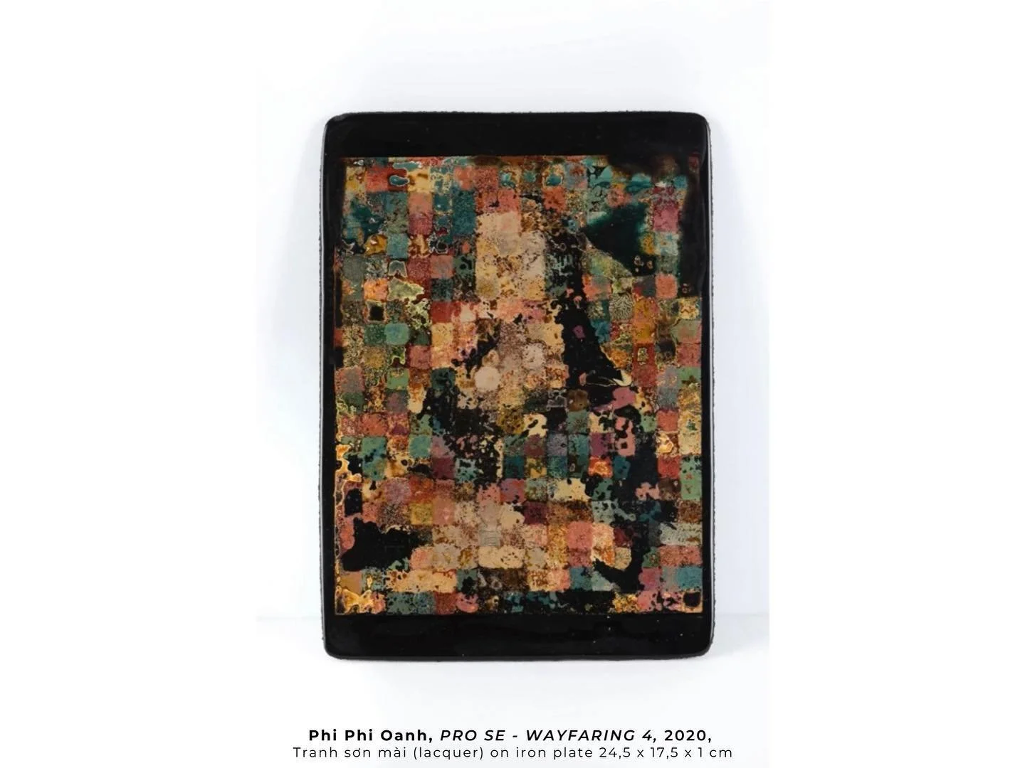 Pro Se series at A2Z Gallery, Paris — Phi Phi Oanh