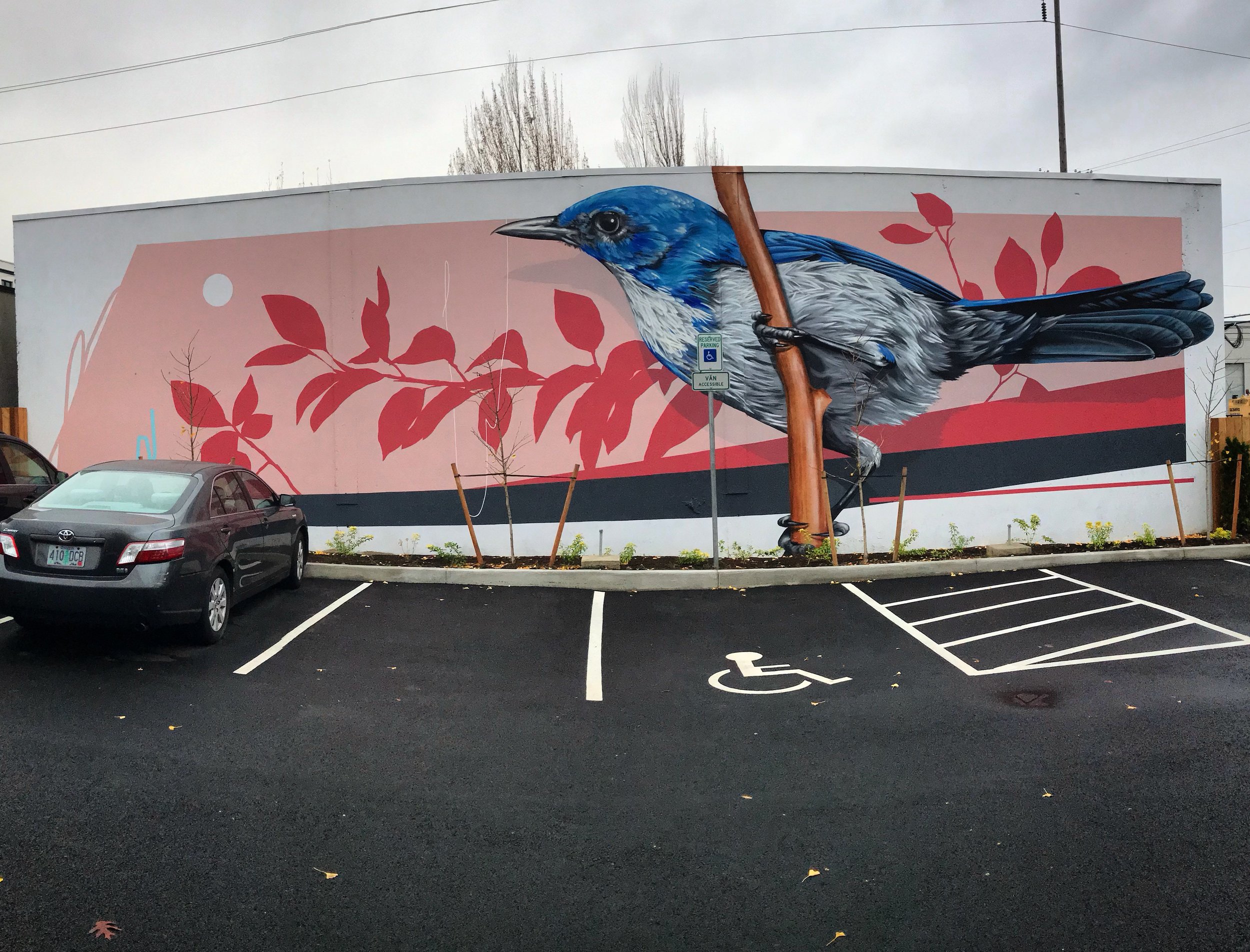 Murals — XPLR studios