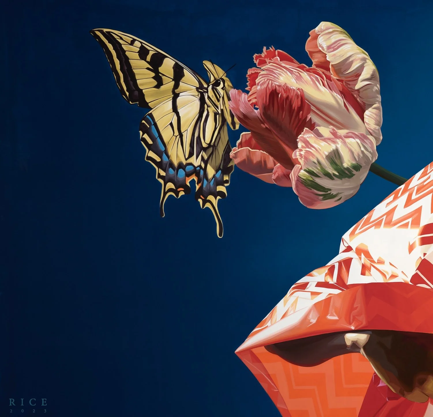 Murals — XPLR studios