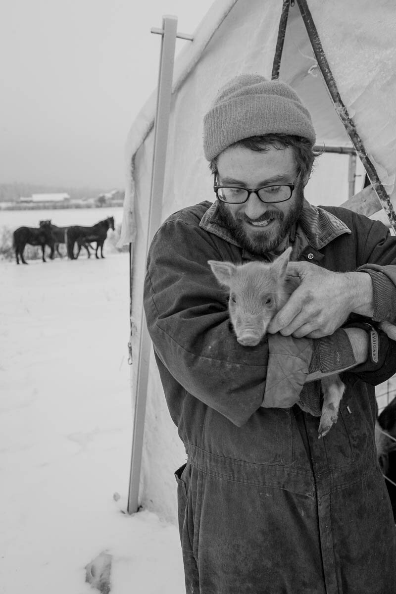The Farmers & Butchers — Mace Chasm Farm