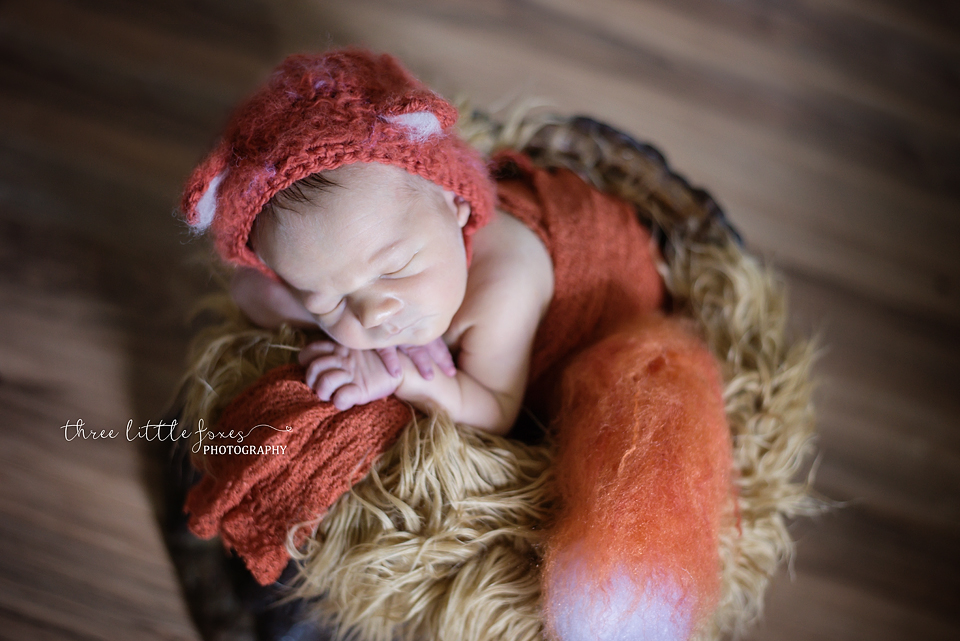 Three Little Foxes Photography | Columbia Missouri PhotographerNewborn ...