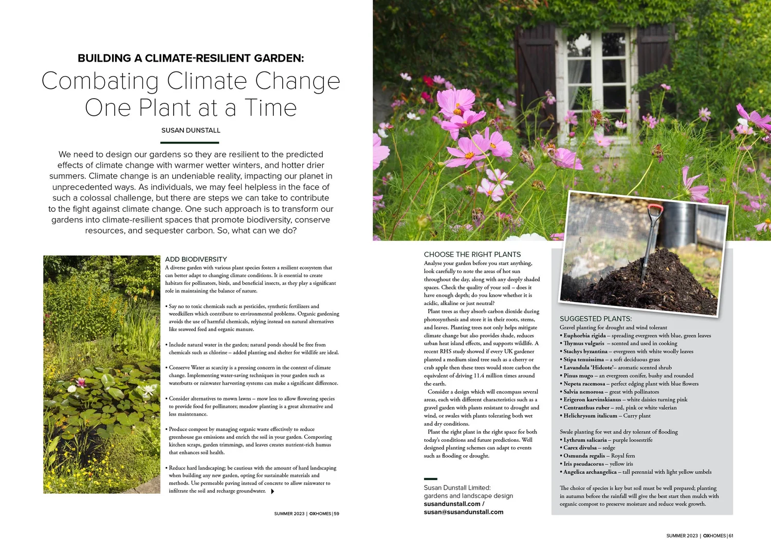 Climate-resilient planting - Susan Dunstall Landscape & Garden Design