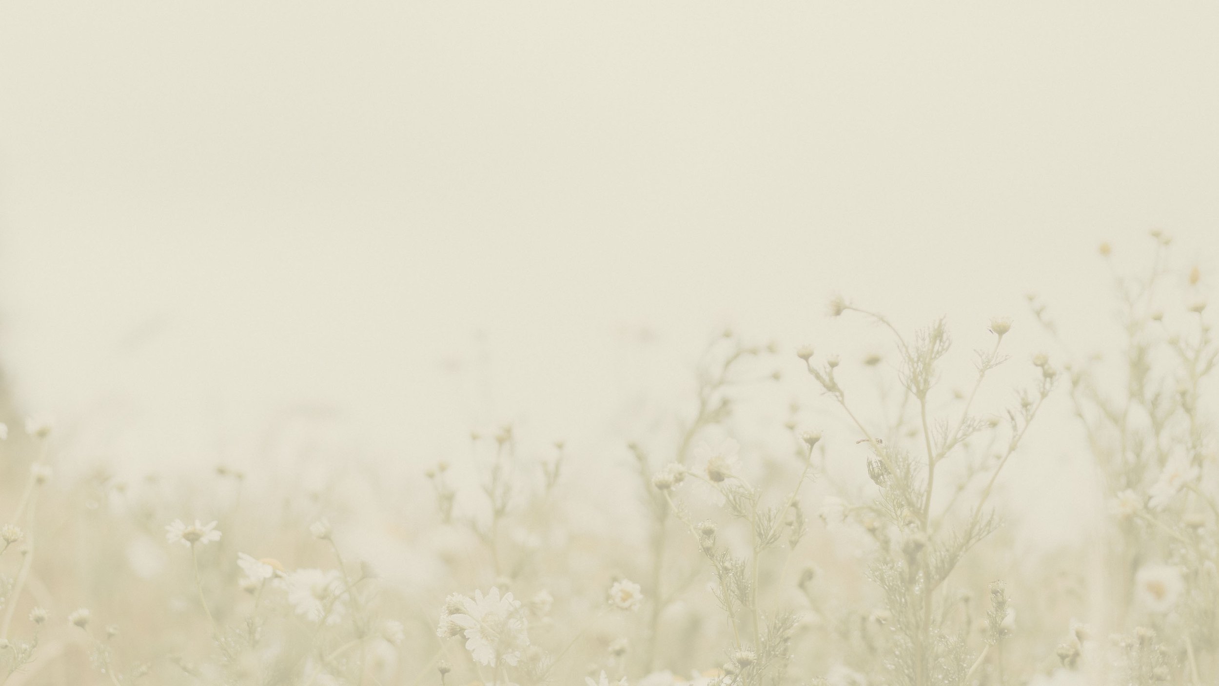 CALENDAR — Sovereign Grace Church