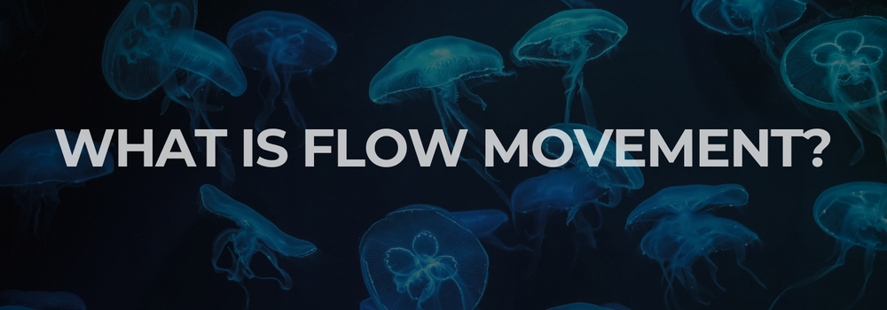 WHAT IS FLOW MOVEMENT? — Flow Movement by Marlo Fisken