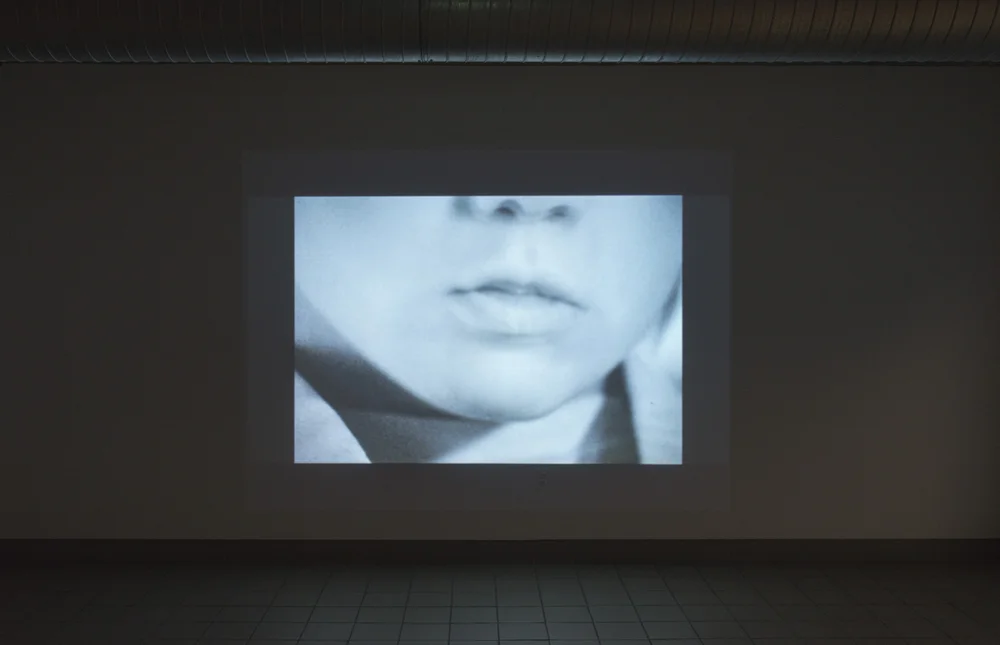 Blue S Clues End Credits Remix Animal Mechanicals Babar Backyardigans