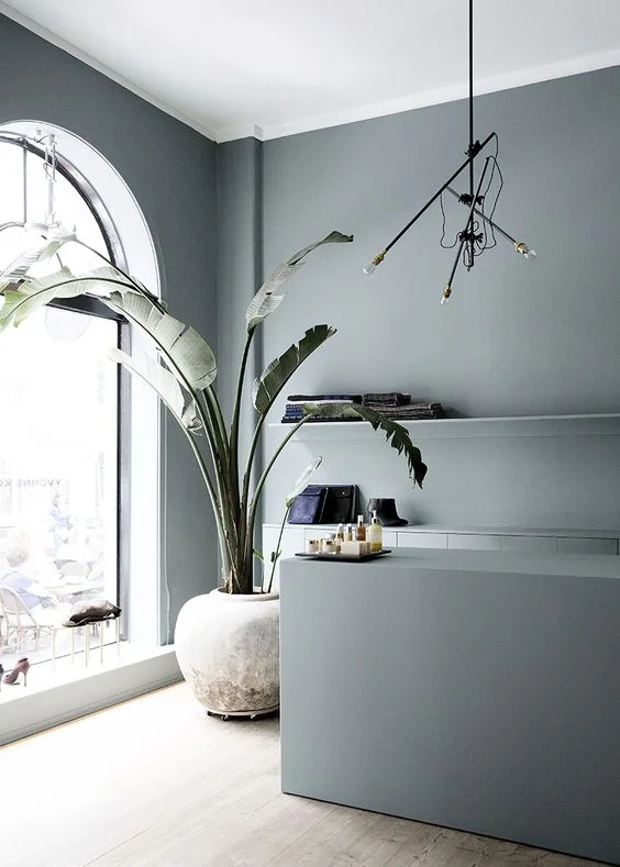 Architectural Digest’s Design Trends, downunder – Anna Church Art