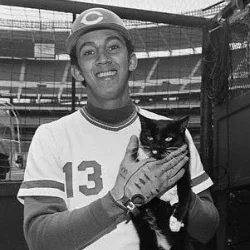 Autograph Tickets — Sports Gallery