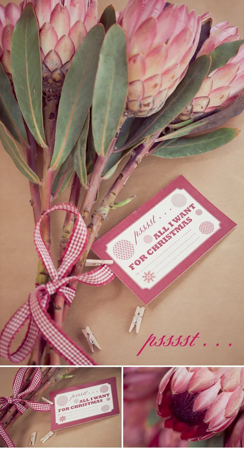 "Naughty or Nice? My Christmas Spoil & Hint List" — Elephantshoe blog