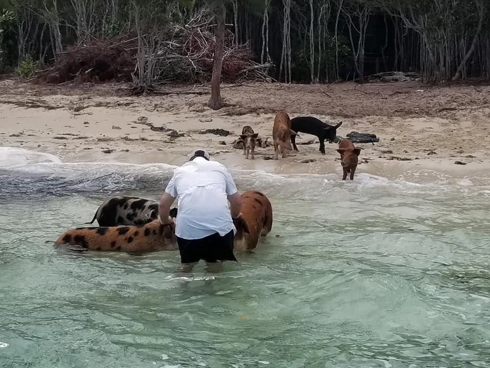 Swim with the Pigs — Spanish Wells Fishing