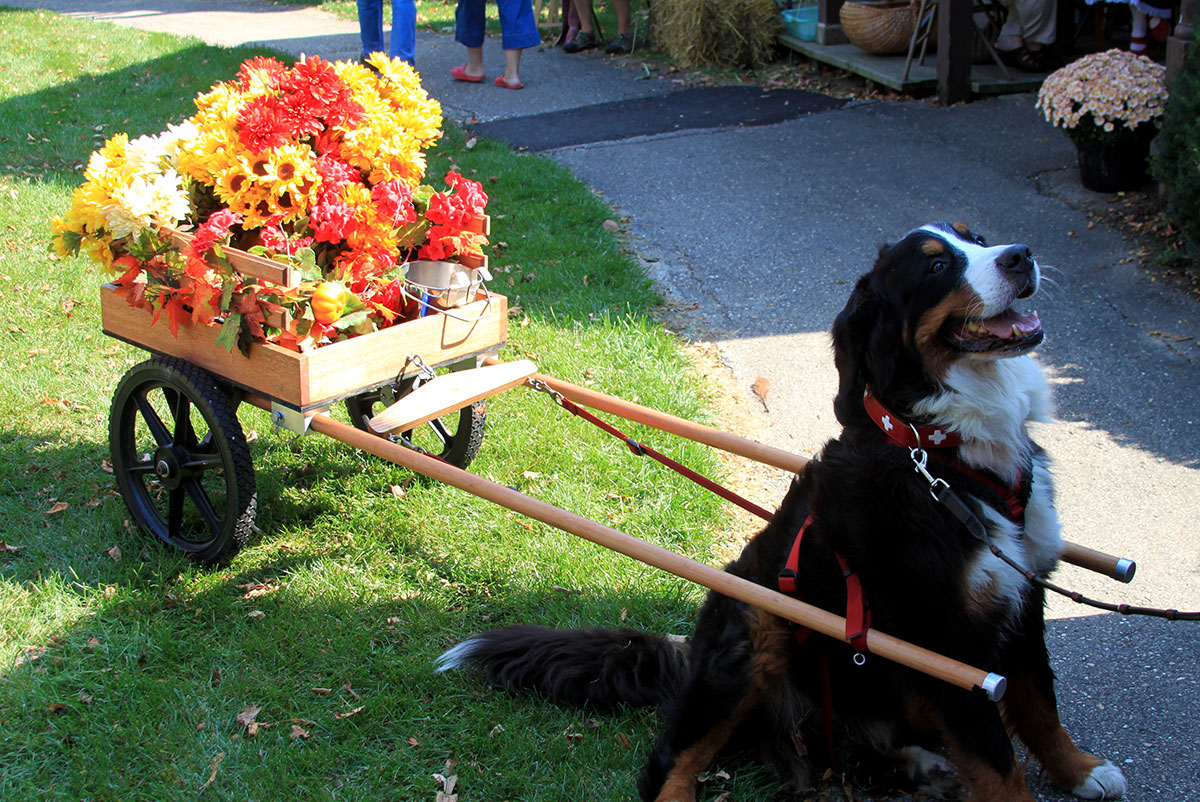 Events — Swiss Historical Village & Museum