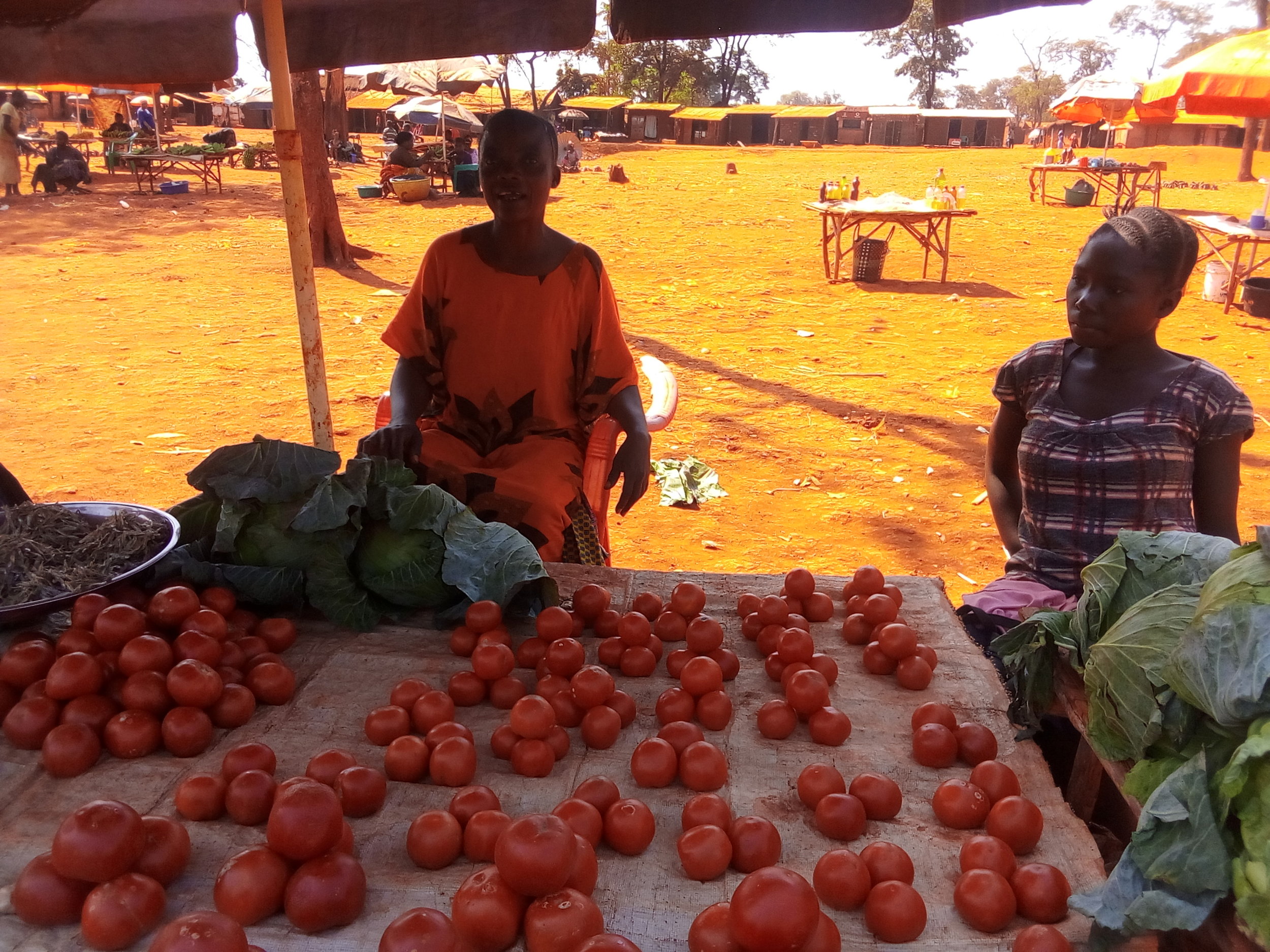 Action for Community Development — The SHARE Institute