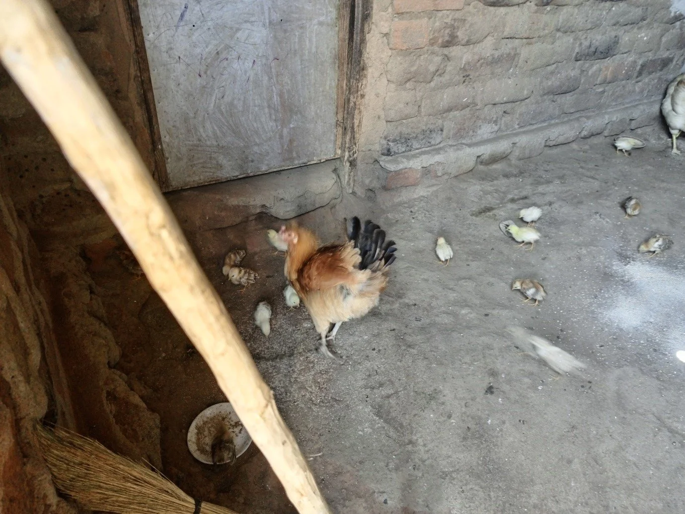 Ndekanga Support Self-help Group, Kenya — The SHARE Institute