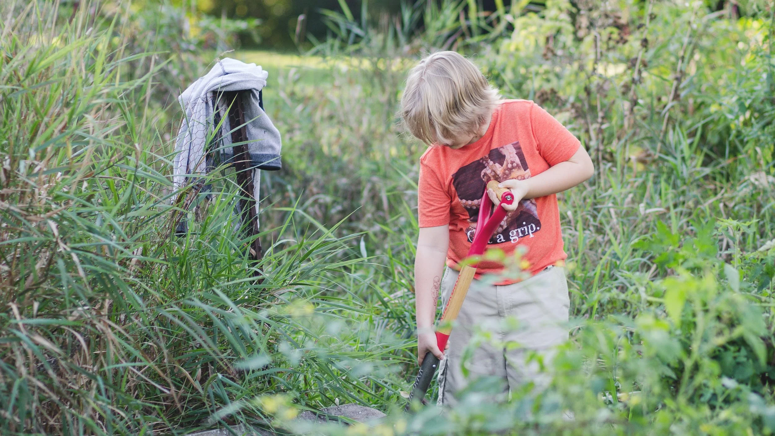 Prairie School Of DuPage Environmental Mission prairie-school-of-dupage-environmental-mission