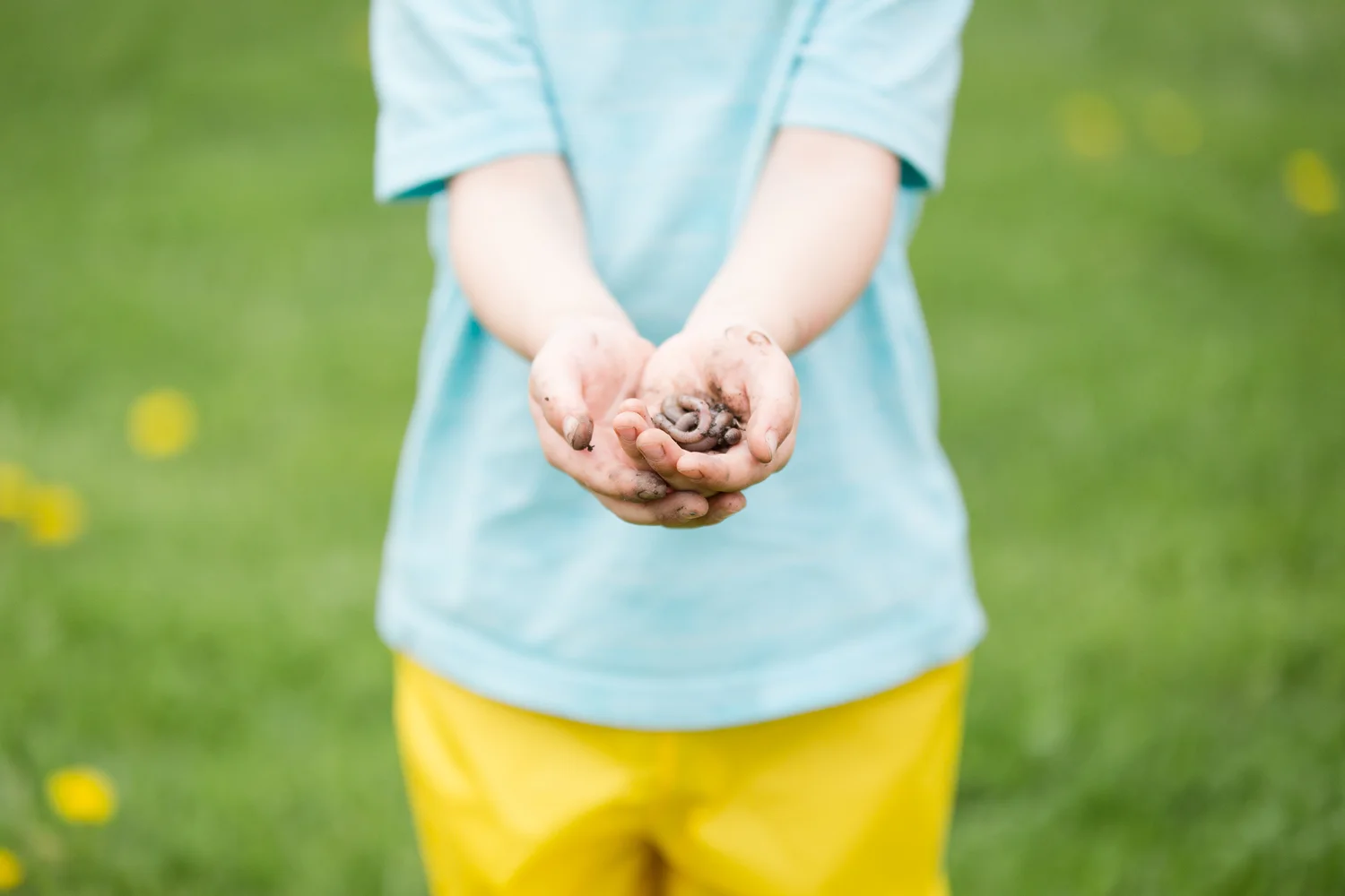 Prairie School of DuPage — FOREST PRESCHOOL Ages 3-6