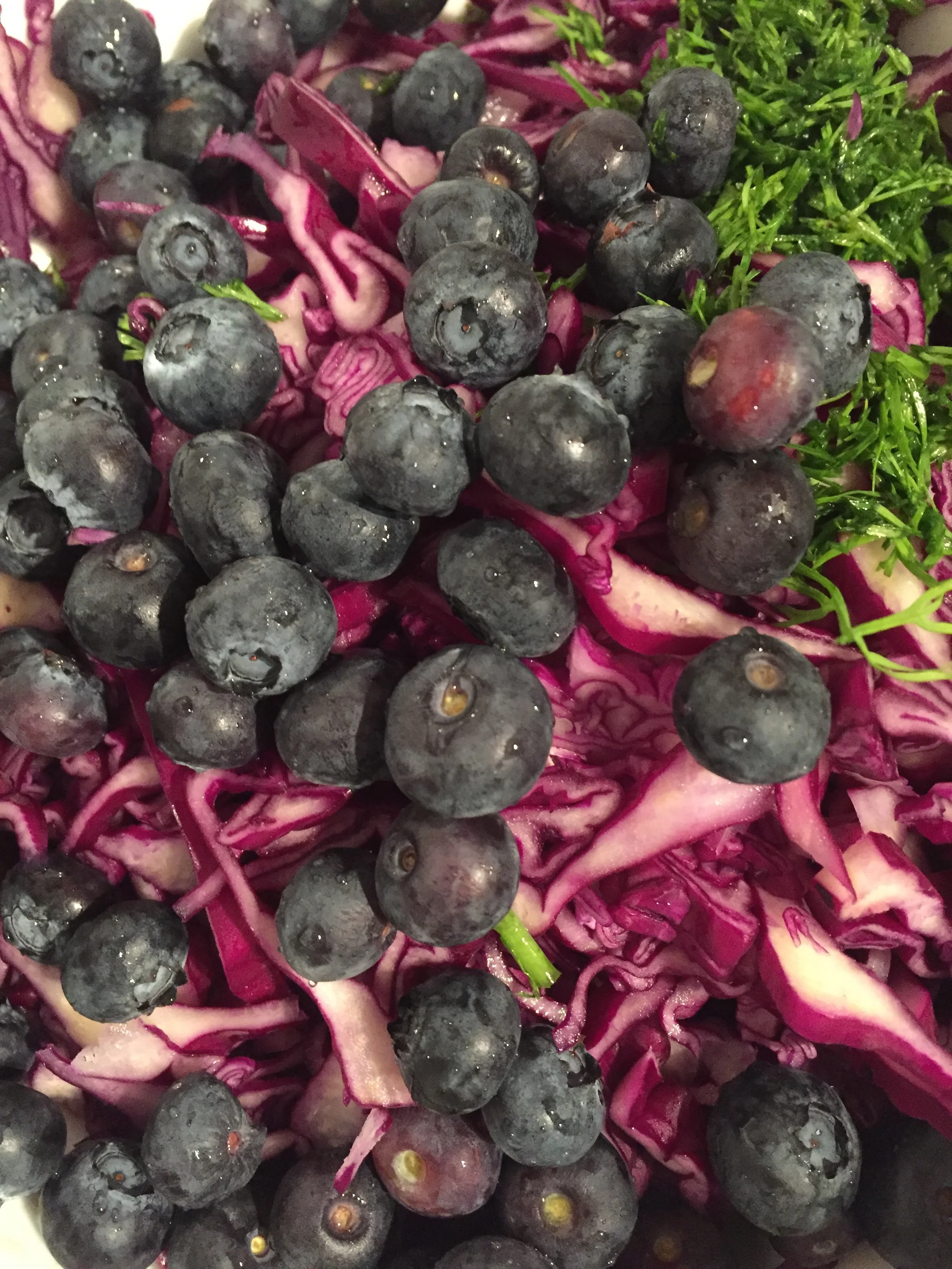 Blog — HOWARD MIDDLETON