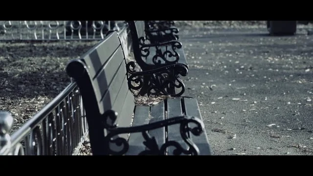 Video/Film — Ed Lee Art