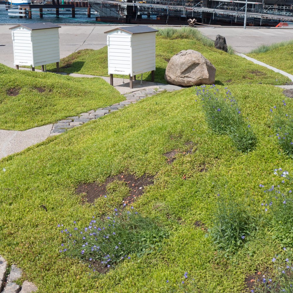 streetscape — parks & gardens — danish architecture and design review