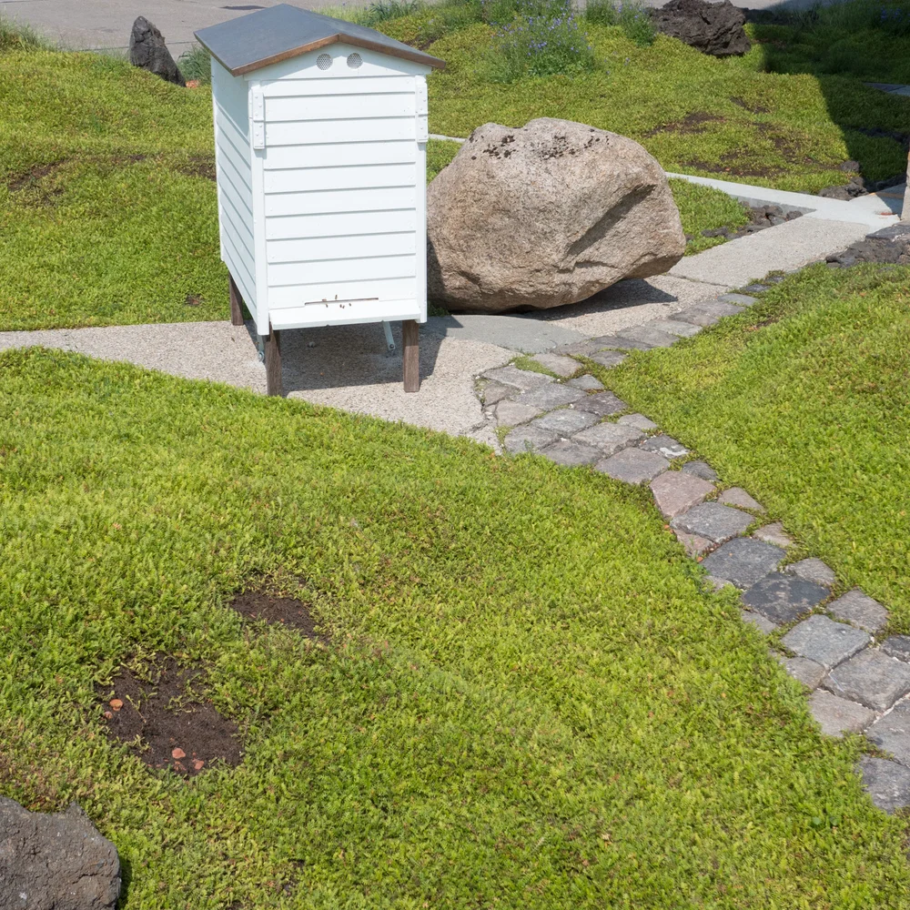 streetscape — parks & gardens — danish architecture and design review