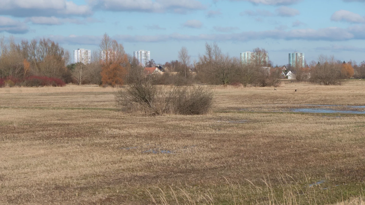 Brondby Strand housing scheme — danish architecture and design review