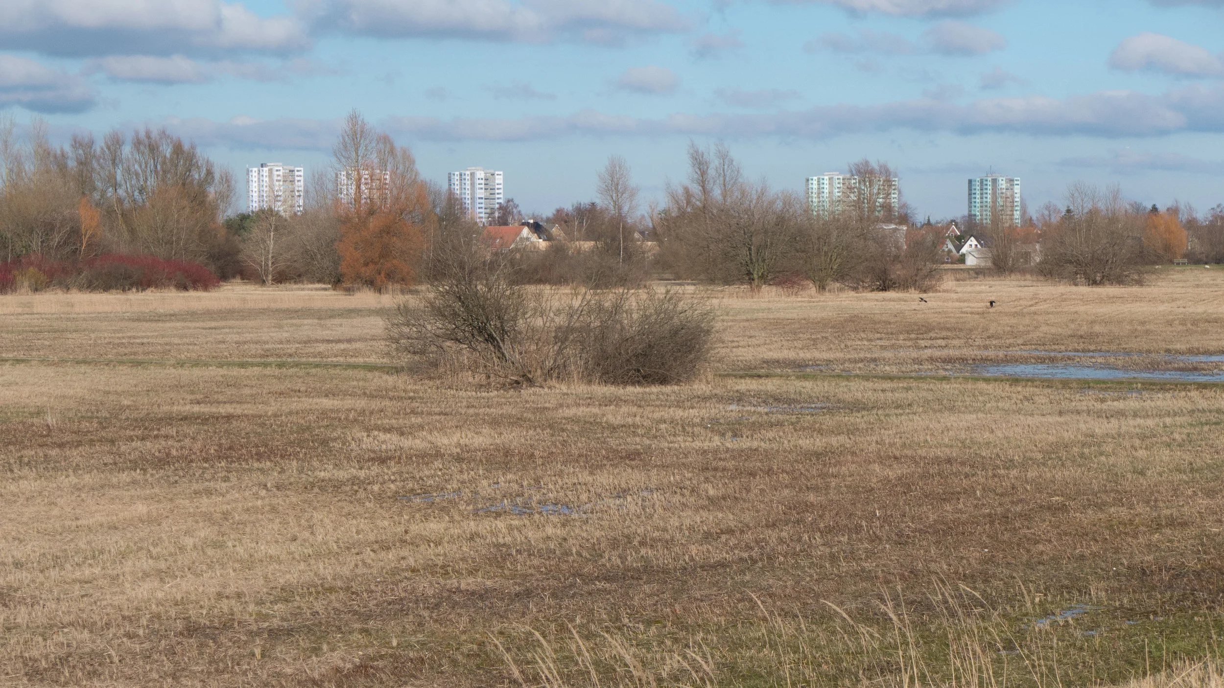 Brondby Strand housing scheme — danish architecture and design review
