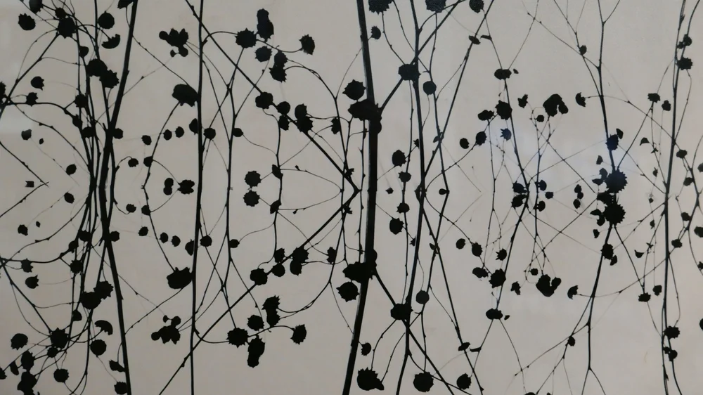 FINDING BEAUTY - the photography of Keld Helmer-Petersen — danish ...