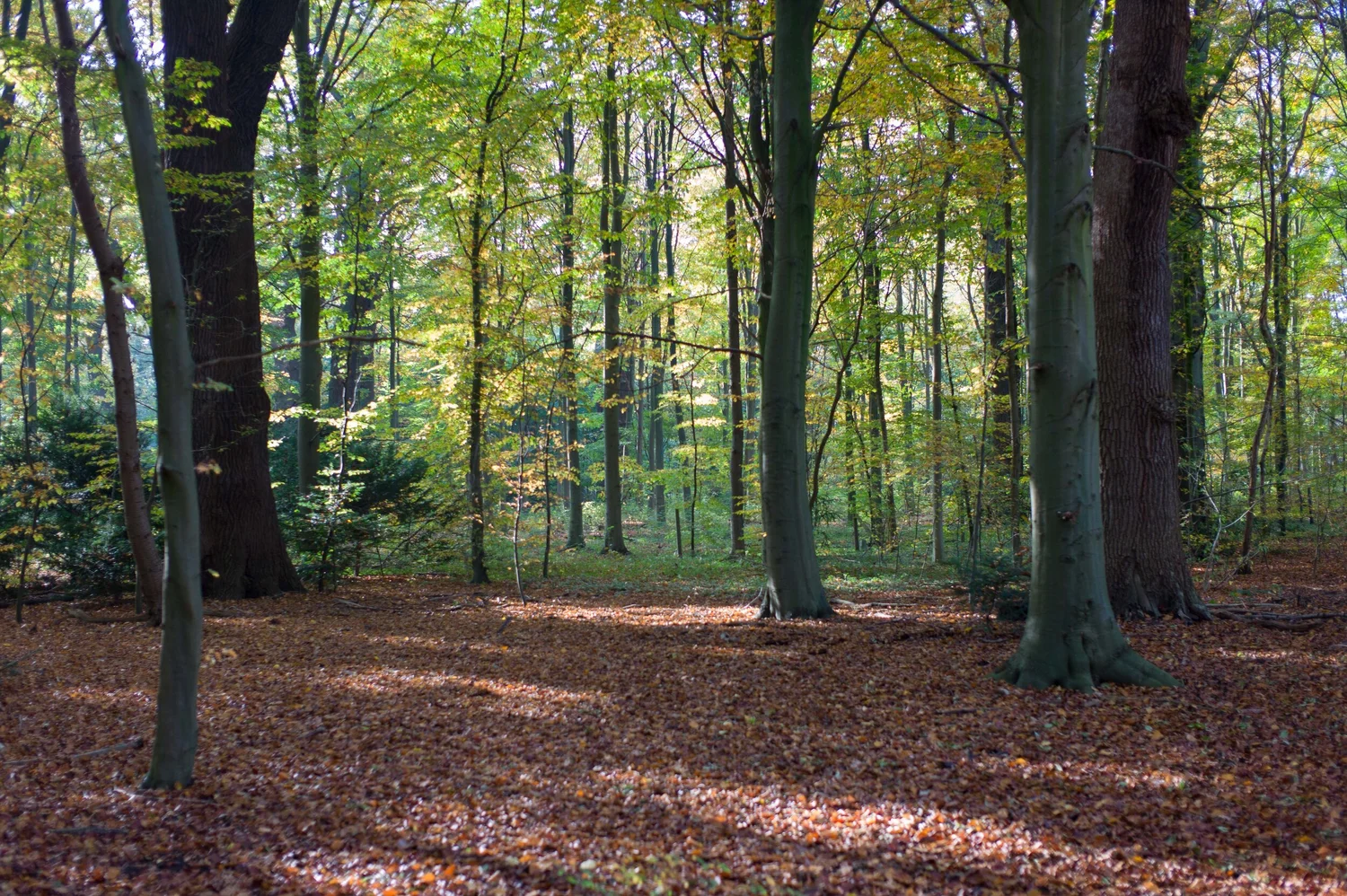 parks & gardens — danish architecture and design review